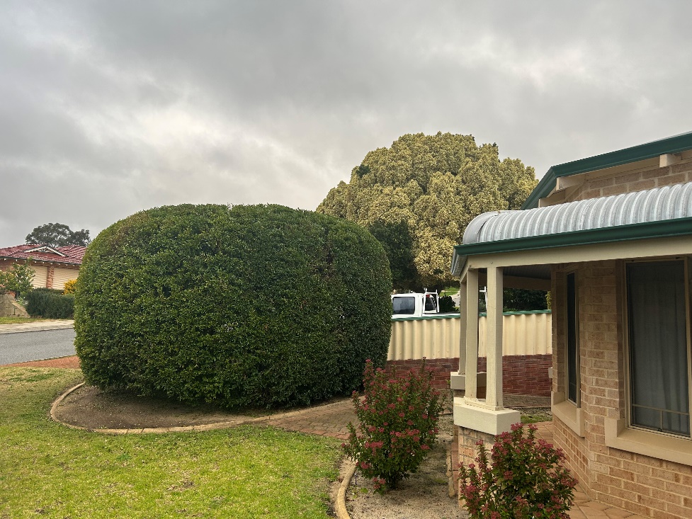 Commercial Landscaping Projects | Perth Commercial Gardeners